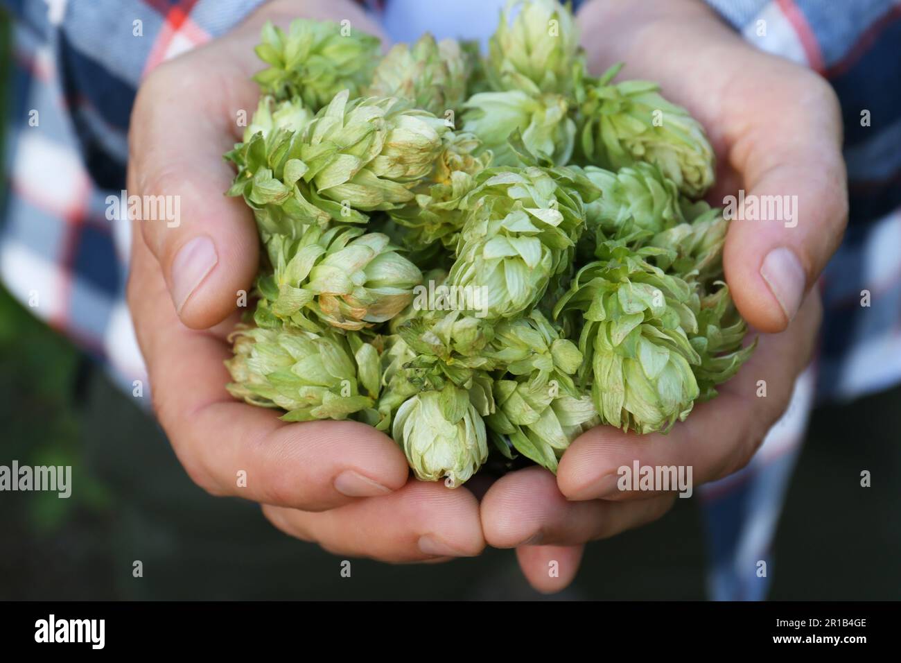 Many hands holding beer hi-res stock photography and images - Alamy