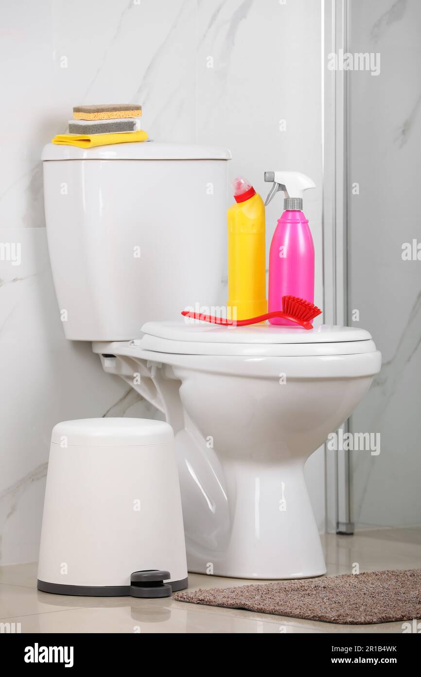 Cleaning supplies on toilet bowl in bathroom Stock Photo - Alamy