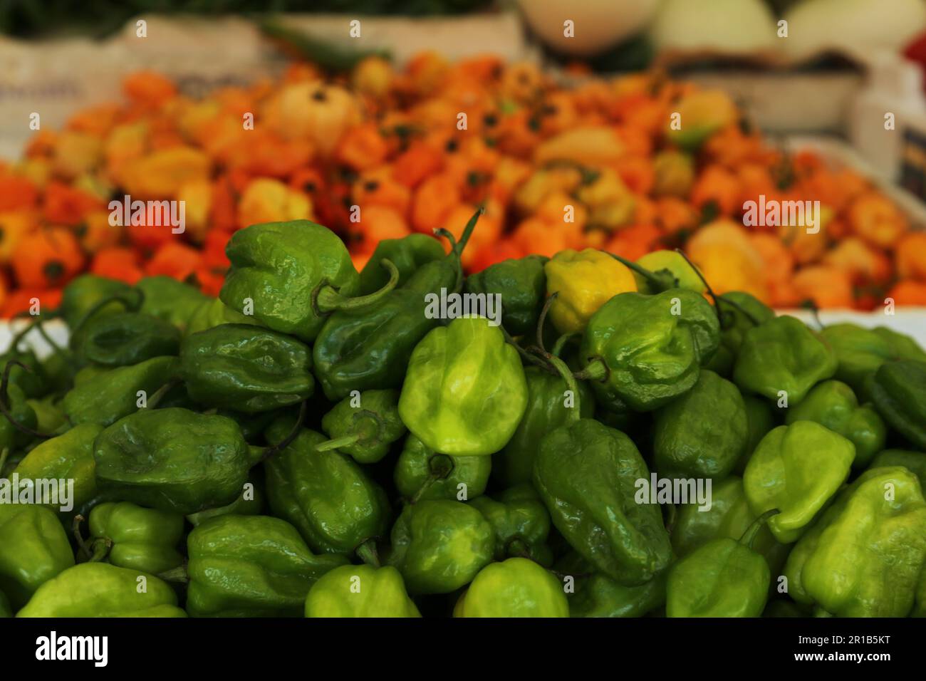 Chile cascabel hi-res stock photography and images - Alamy