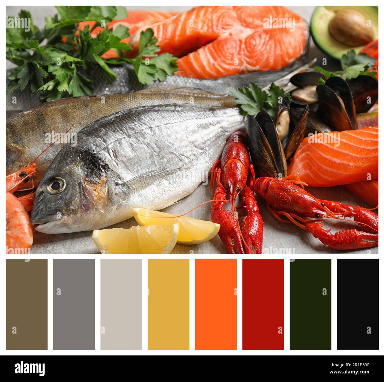 Fresh fish and different seafood on light grey table and color palette ...
