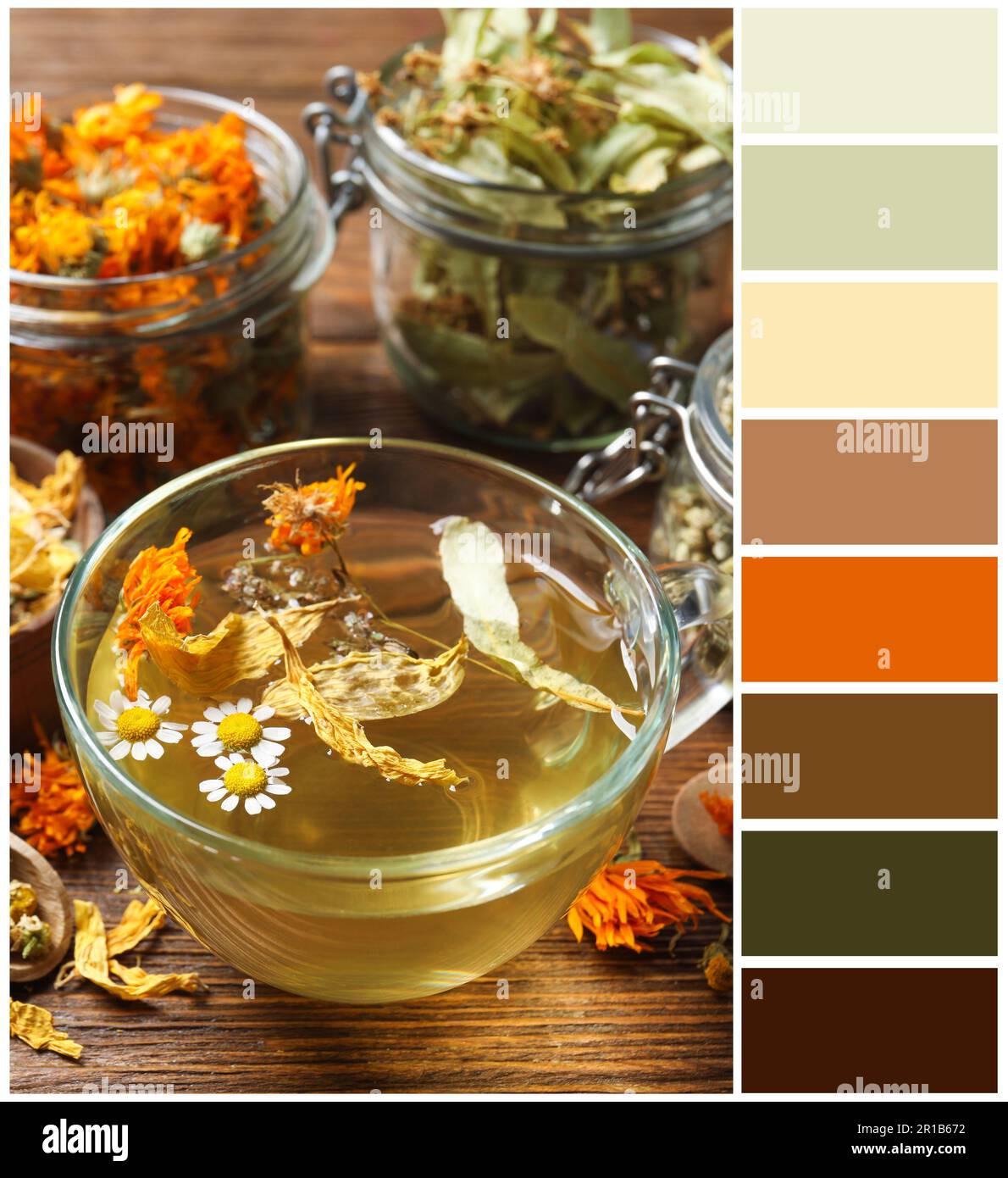 Freshly brewed tea and dried herbs on wooden table and color palette ...