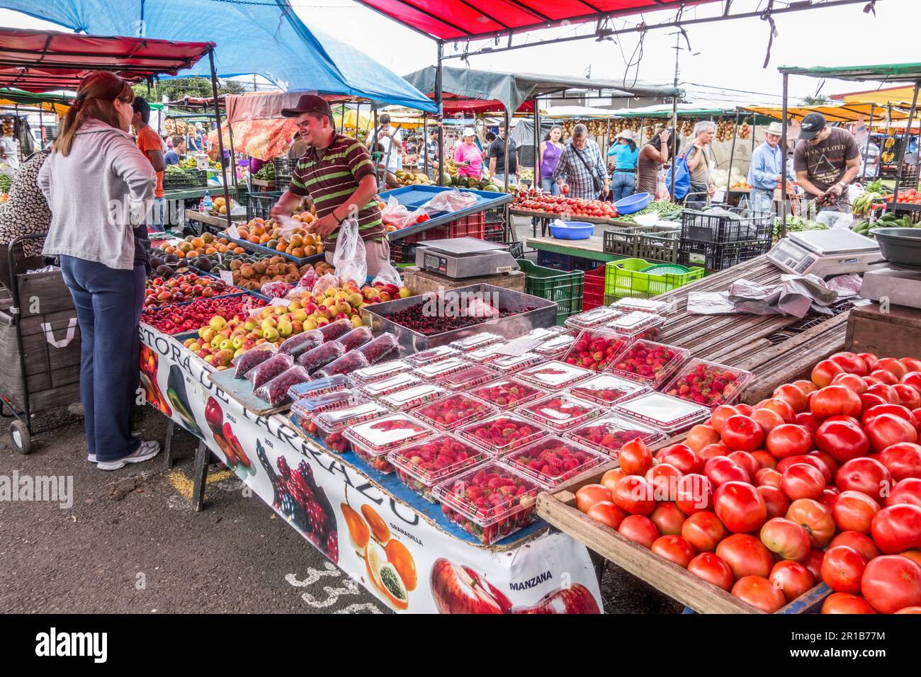 Young man selling his produce to a woman at a farmers market in Zapote ...