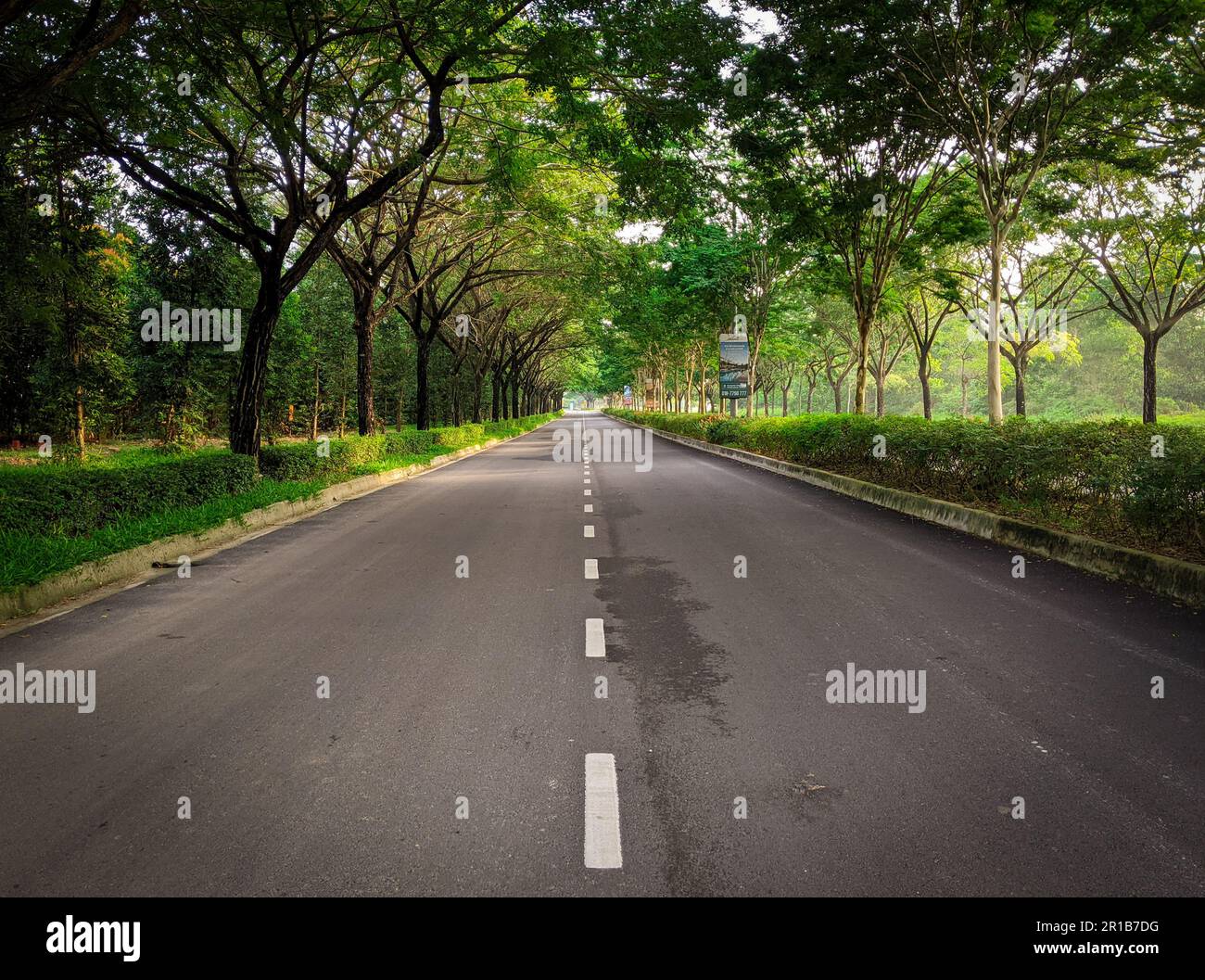 Shady road in countryside hi-res stock photography and images - Alamy