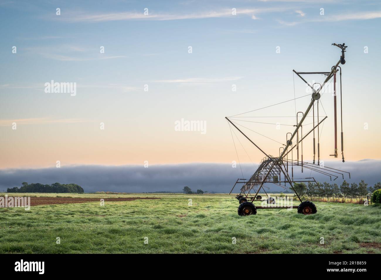 The rising sun slowly burns off the fog in a farm paddock of improved ...