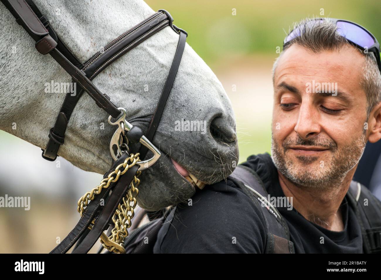 Team Eye Candy horse "Funk Ya" nibbles on the shoulder of his groom at ...