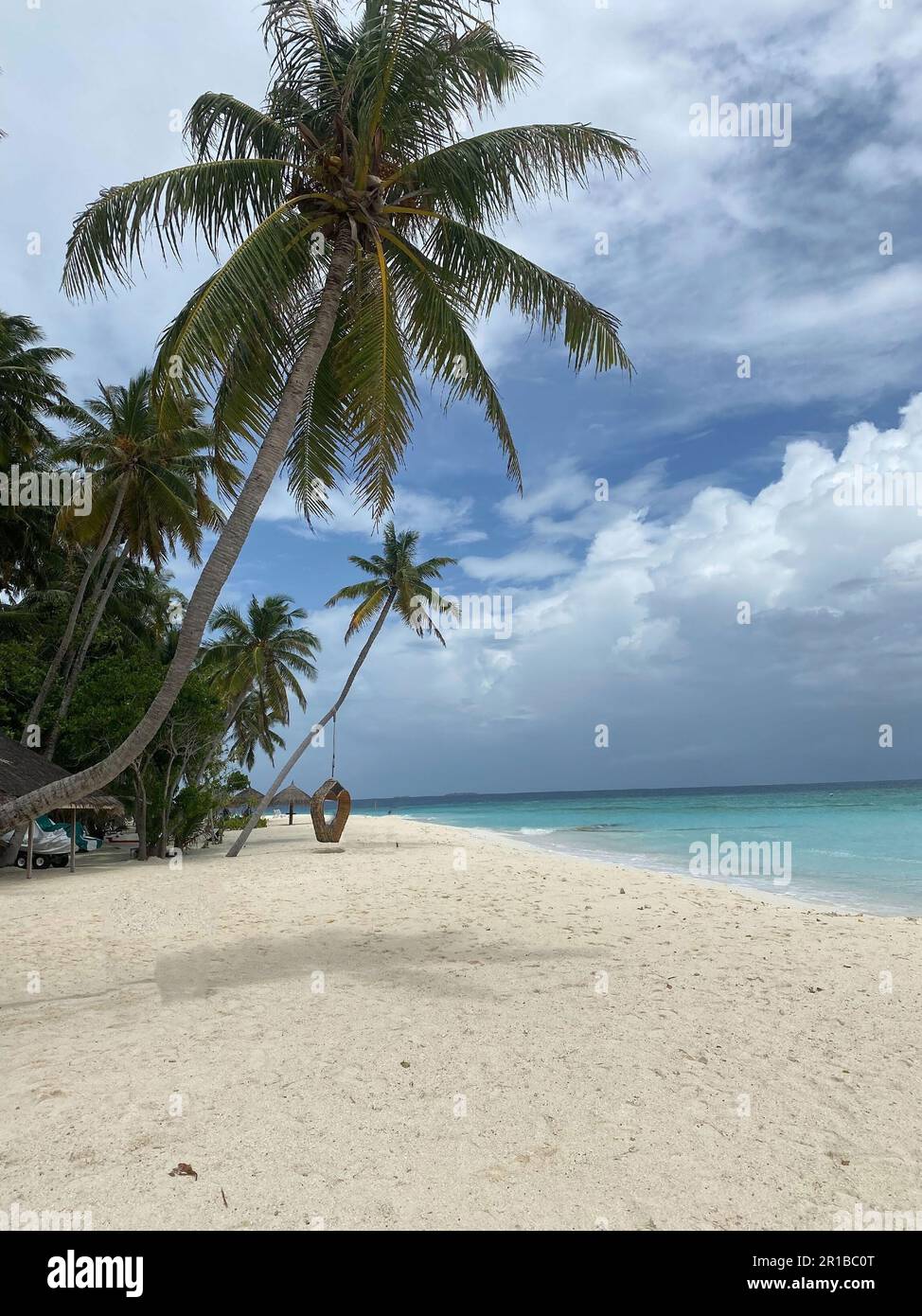 Maldives, ocean, sea, beach, palm trees Stock Photo - Alamy