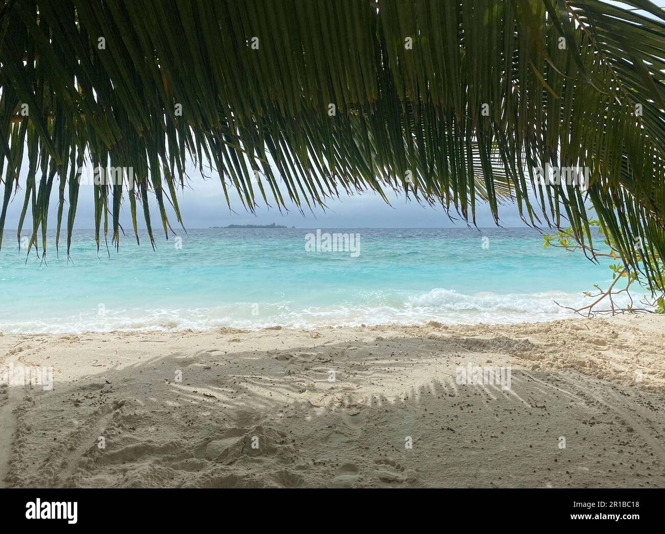 Maldives, ocean, sea, beach, palm trees Stock Photo - Alamy