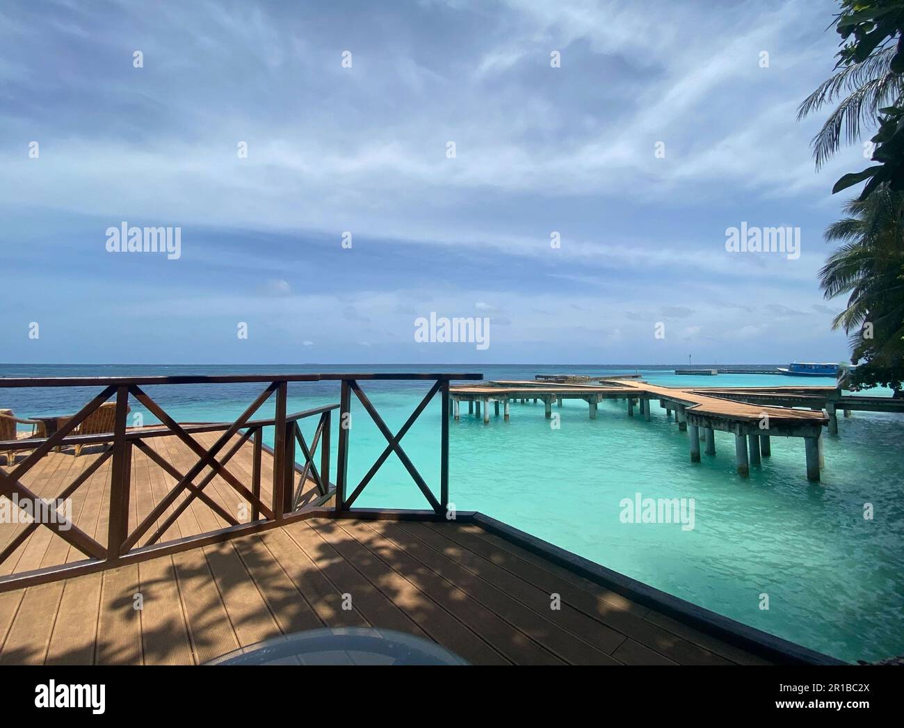 Maldives, ocean, sea, beach, palm trees Stock Photo - Alamy