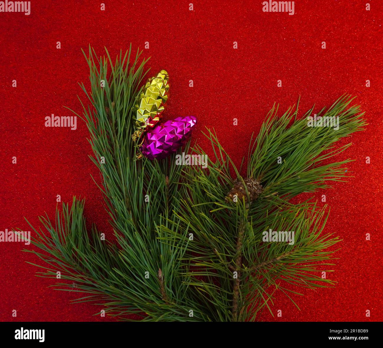 Christmas card on a red background Christmas tree sprig and balls Stock ...
