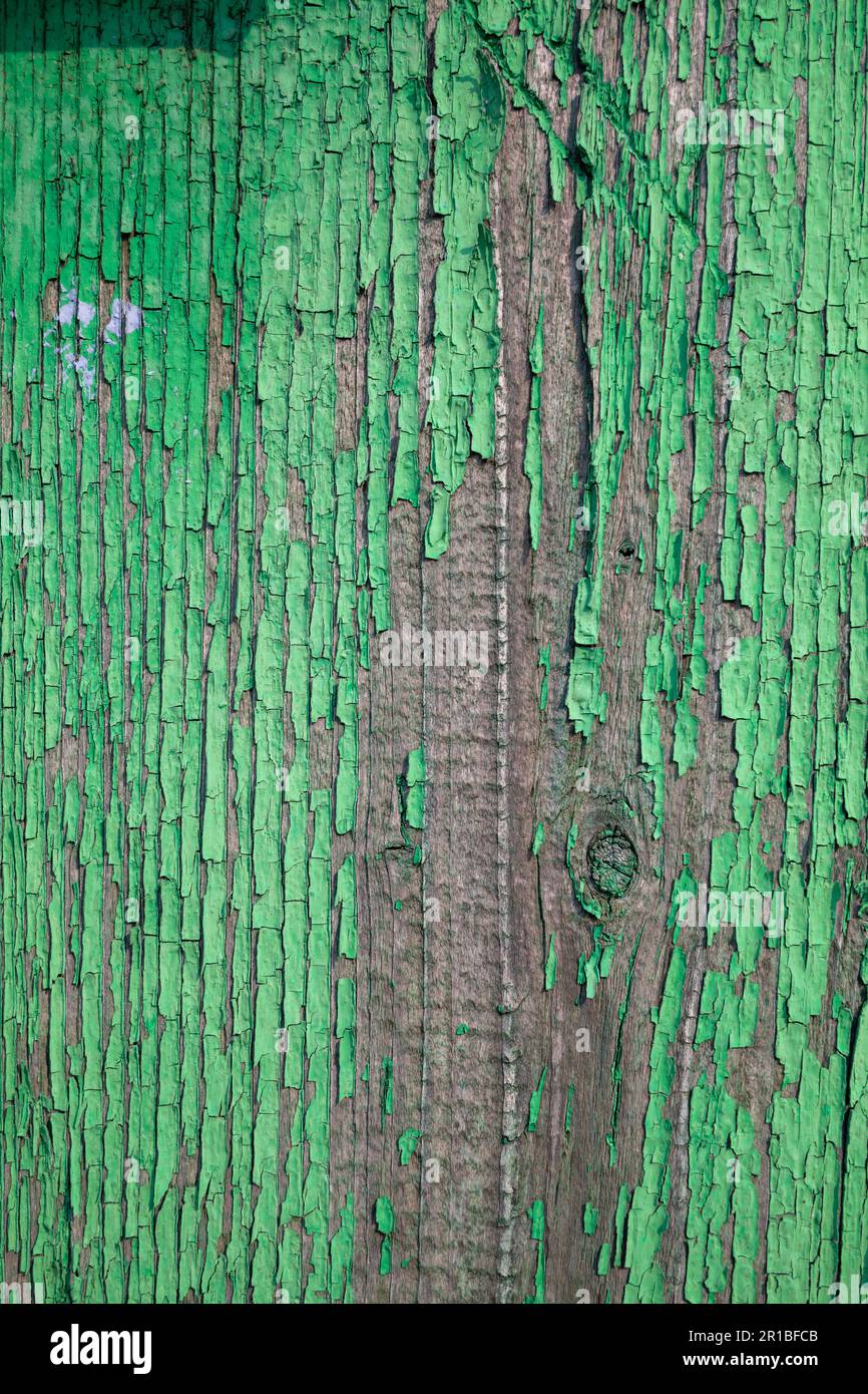 Wood texture with green flaked paint. Peeling paint on weathered wood ...