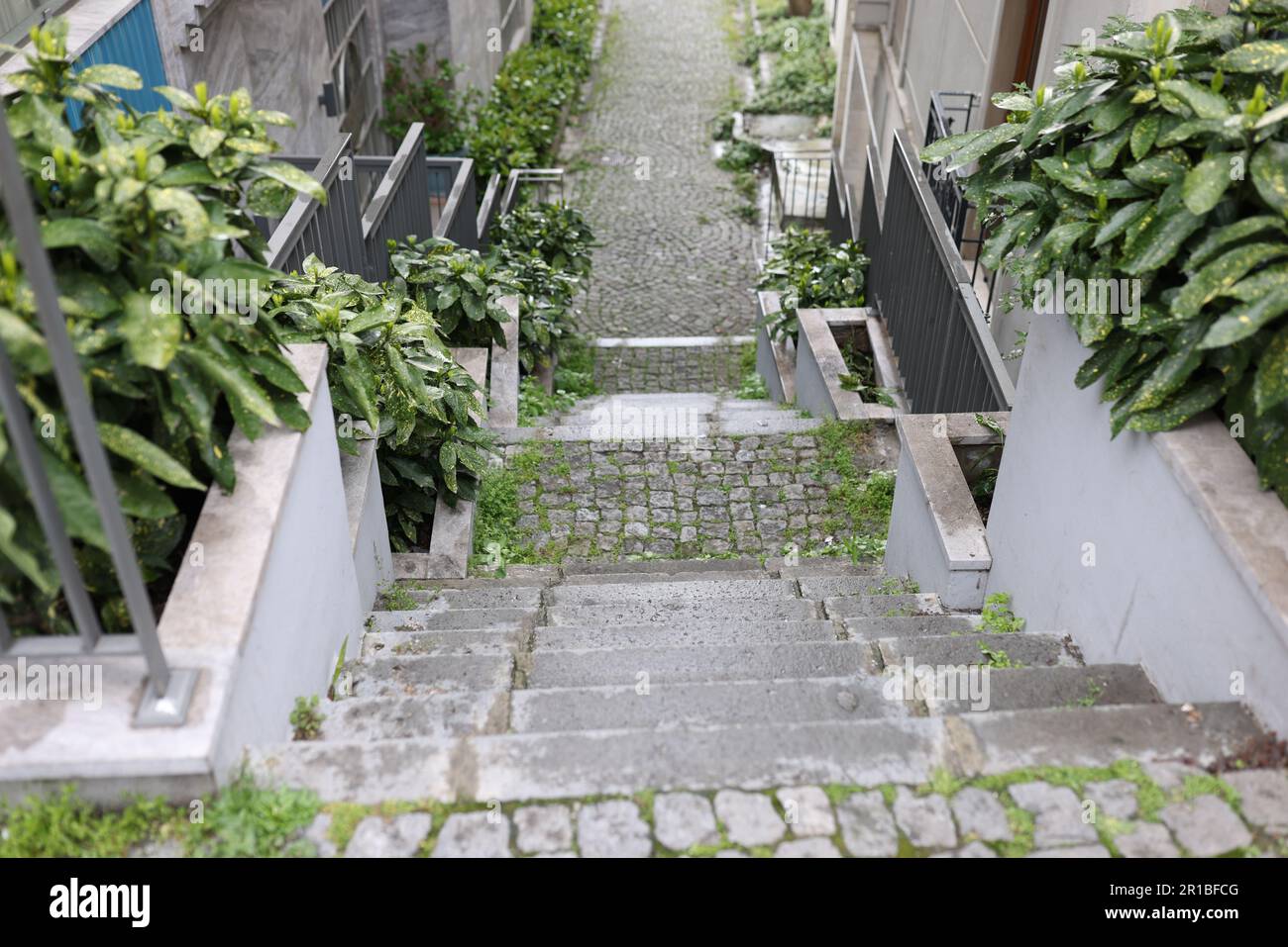 Ancient stone steps with green grass growing on paved ground Stock ...