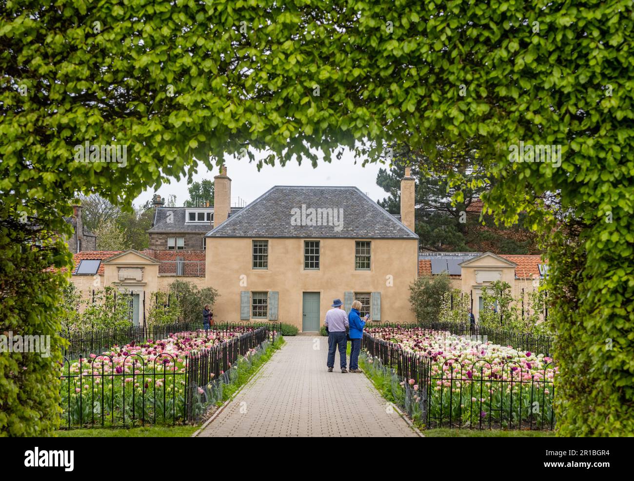 May tulips royal botanical gardens hi-res stock photography and images ...