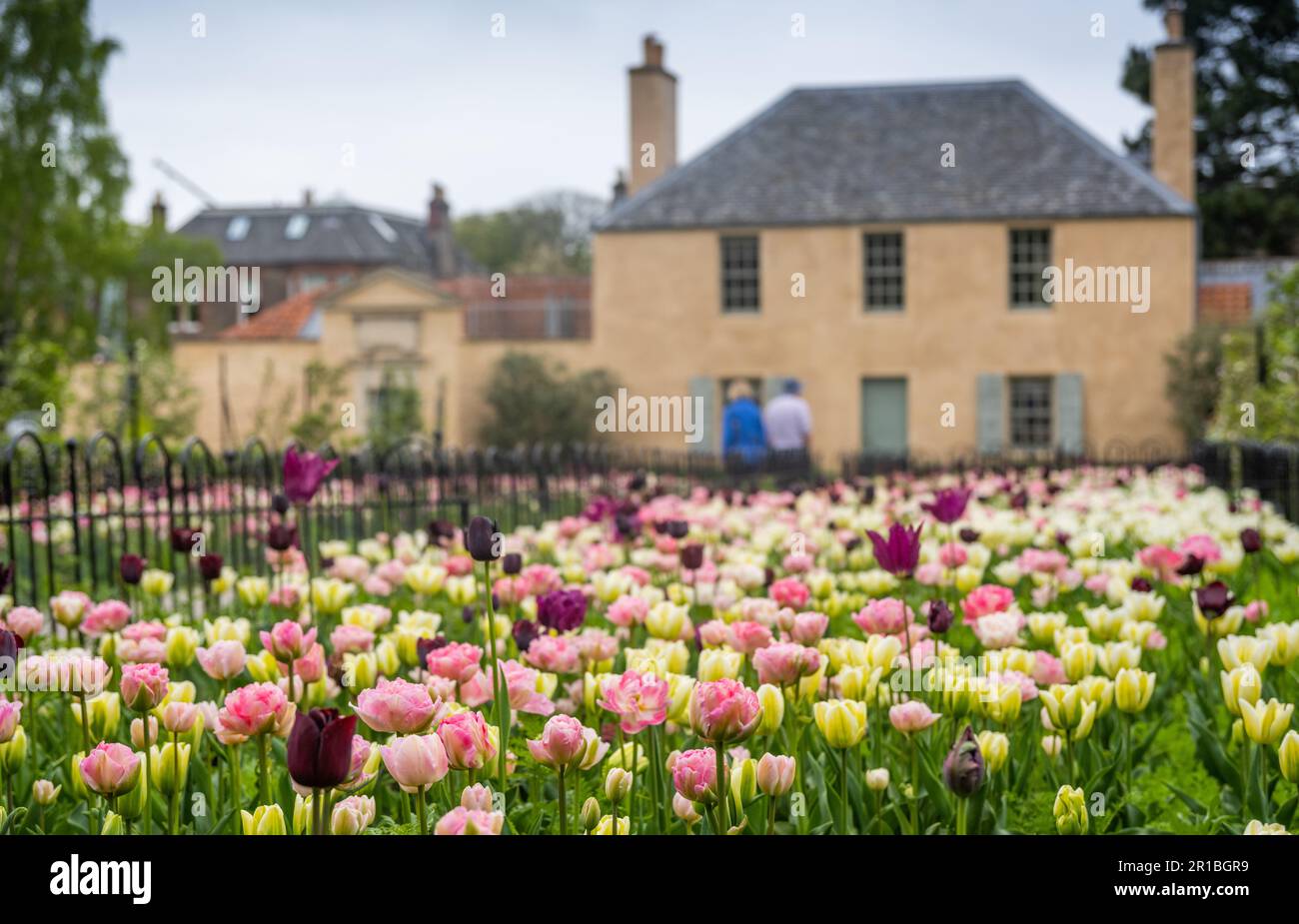 Edinburgh, UK. 12th May, 2023. 12th May 2023 Royal Botanic Gardens ...