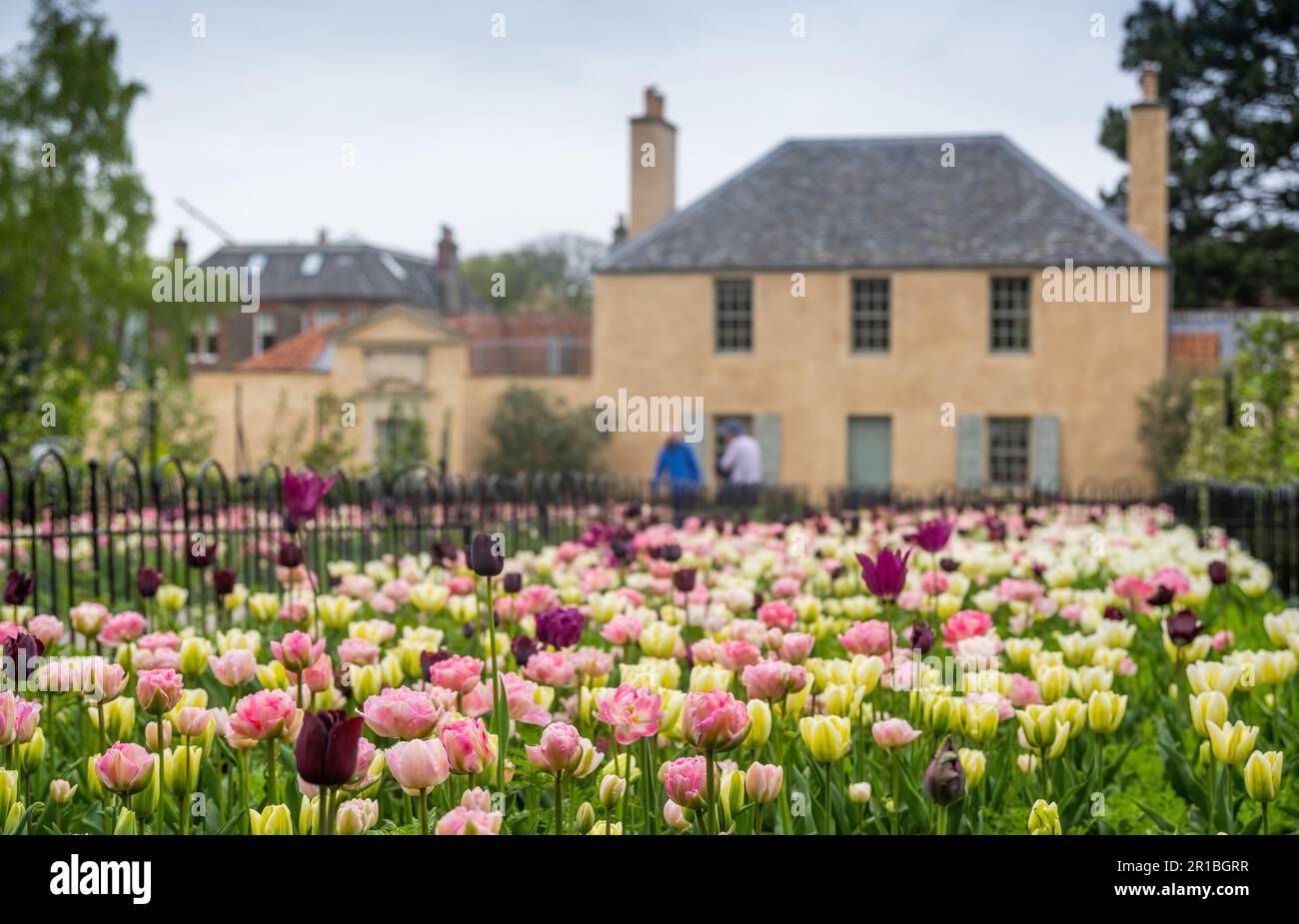 Edinburgh, UK. 12th May, 2023. 12th May 2023 Royal Botanic Gardens ...