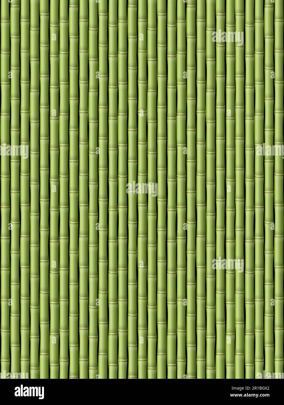 Green bamboo stick pattern background. Vector illustration Stock Photo ...
