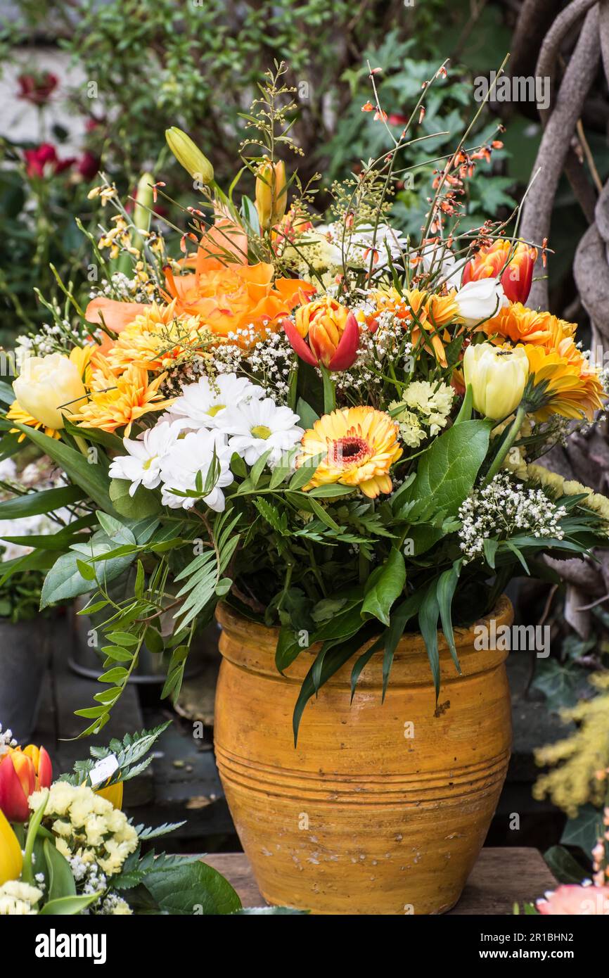 Various spring flowers hi-res stock photography and images - Alamy