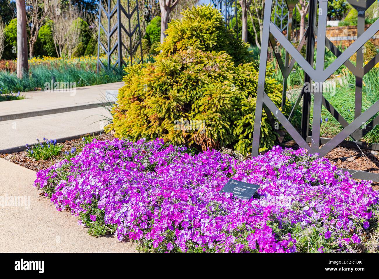 Tulsa botanic garden hi-res stock photography and images - Alamy