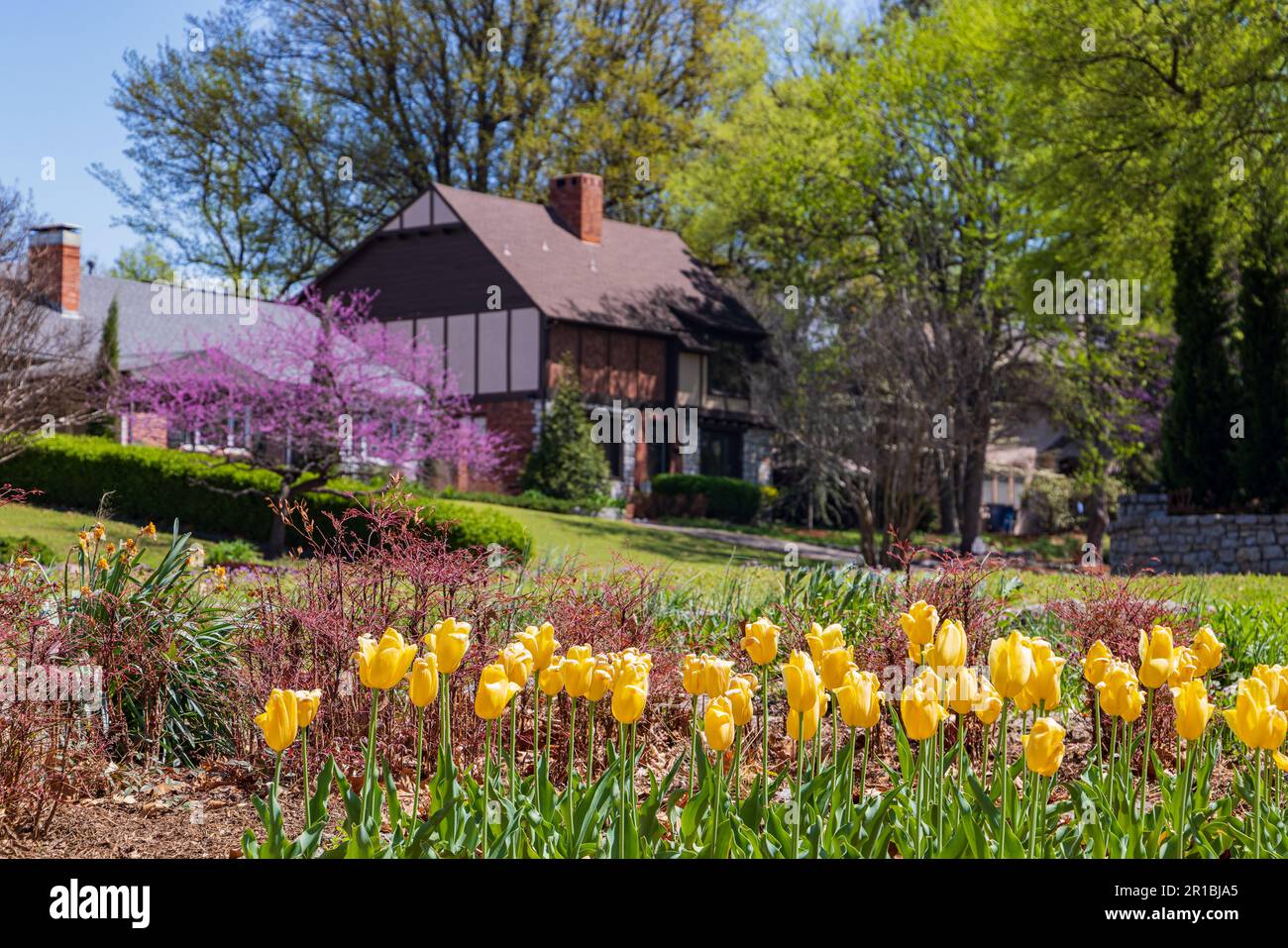 Sunny view of many flower blossom in Woodward Park and Gardens at ...