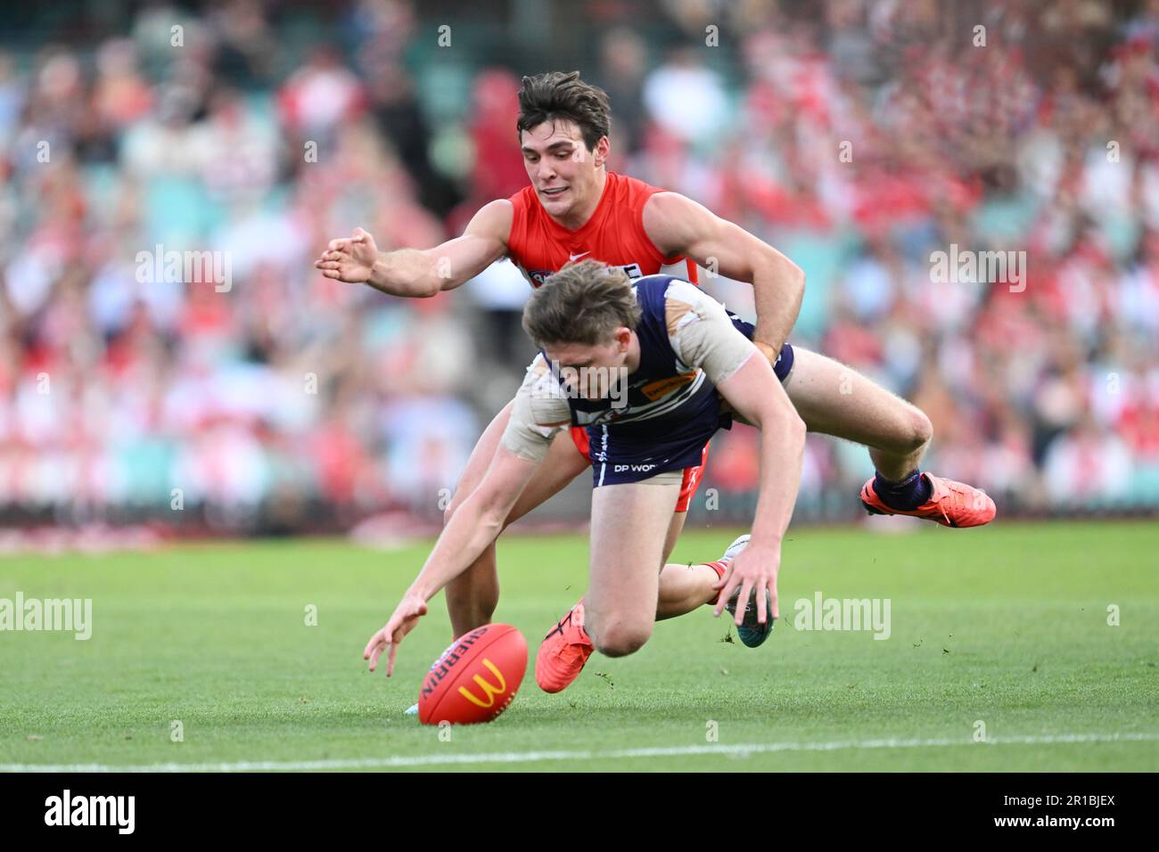 Errol Gulden of the Swans and Nathan O'Driscoll of the Dockers during ...