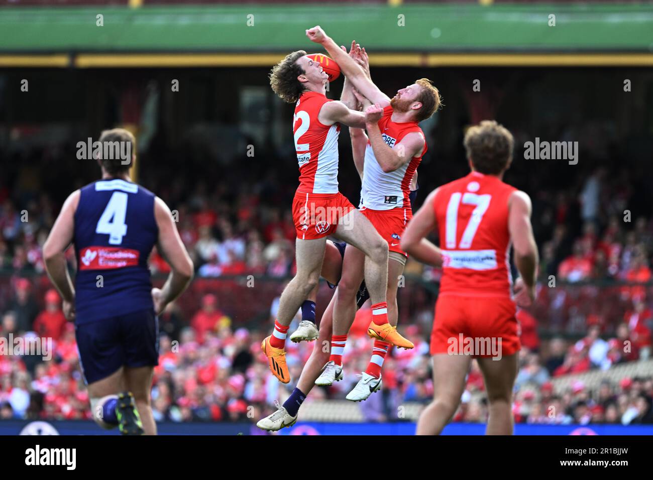 Nick Blakey and Aaron Francis of the Swans collide during the AFL Round ...