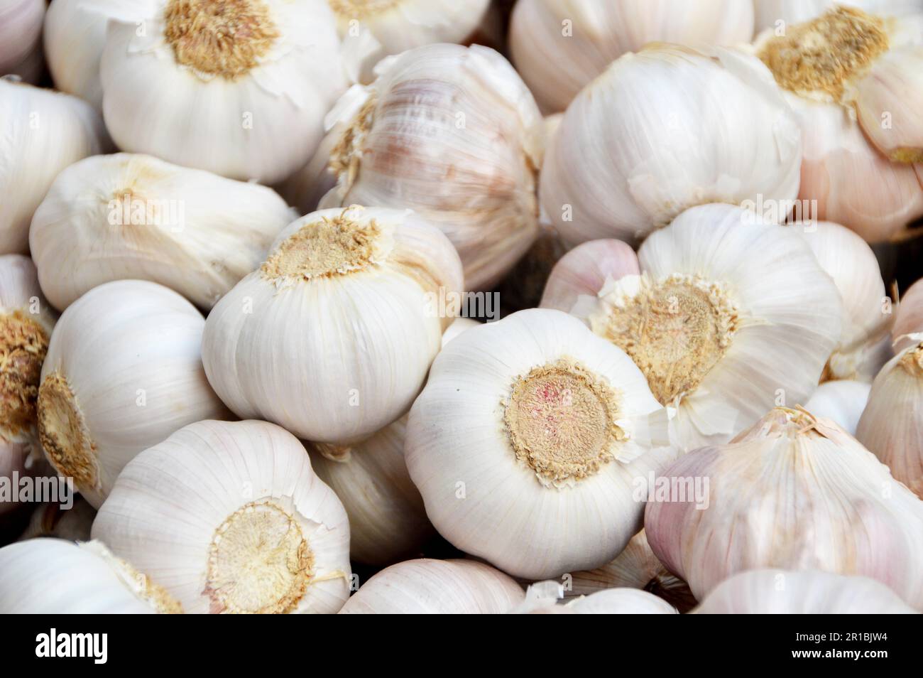 Nutrition supplement store hi-res stock photography and images - Alamy