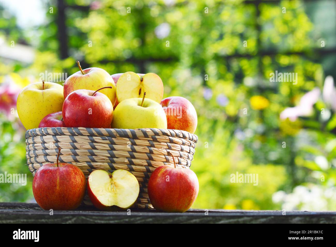 Organic apples in the garden. Balanced diet Stock Photo - Alamy