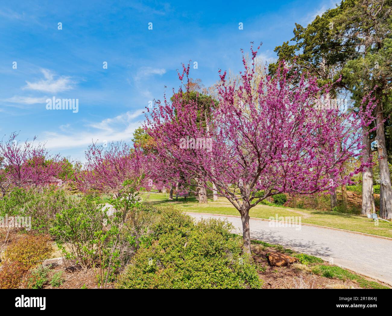Blossom rogers hi-res stock photography and images - Alamy