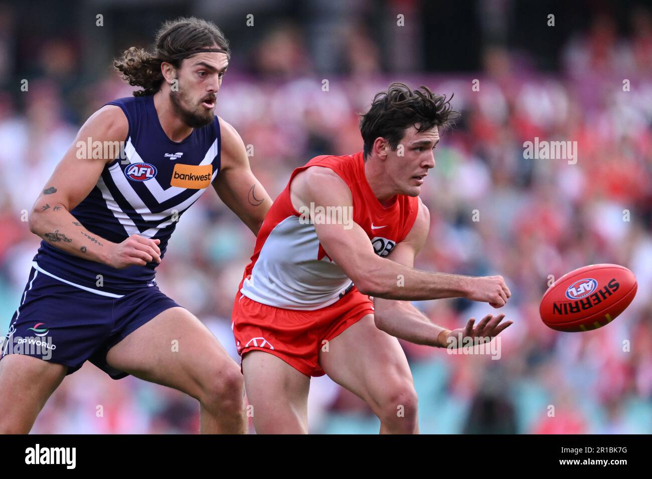 Errol Gulden of the Swans and Luke Jackson of the Dockers during the ...