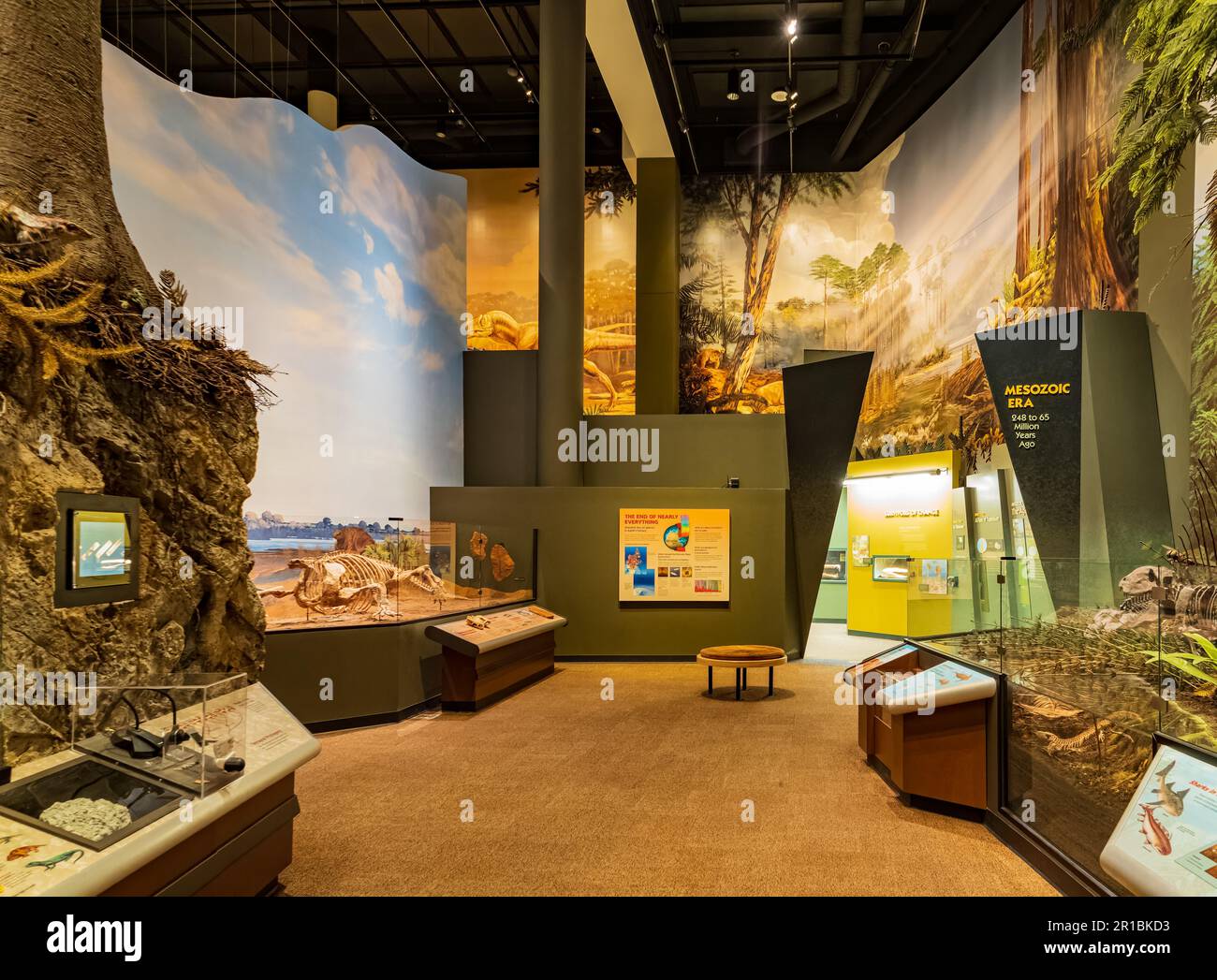 Oklahoma, APR 18 2023 - Interior view of the Sam Noble Oklahoma Museum ...