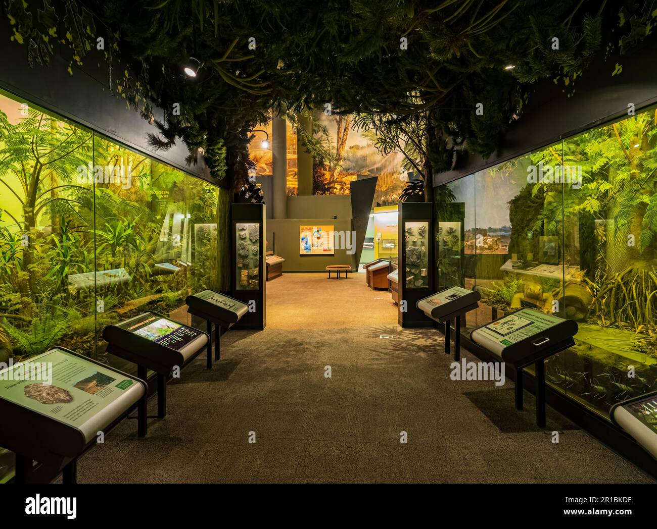 Oklahoma, APR 18 2023 - Interior view of the Sam Noble Oklahoma Museum ...