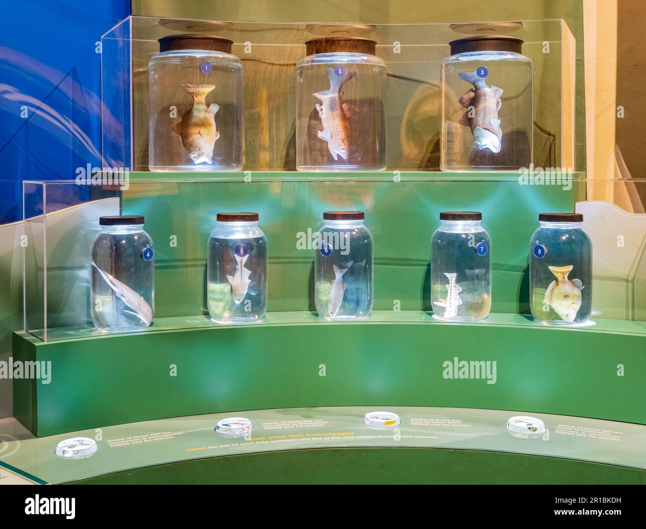 Oklahoma, APR 18 2023 - Interior view of the Sam Noble Oklahoma Museum ...