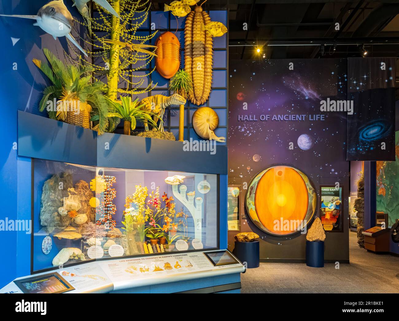 Oklahoma, APR 18 2023 - Interior view of the Sam Noble Oklahoma Museum ...