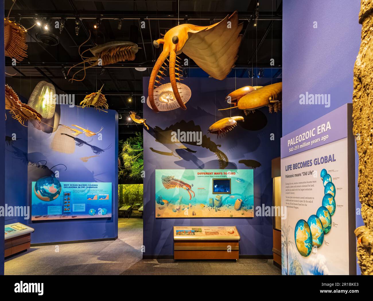 Oklahoma, APR 18 2023 - Interior view of the Sam Noble Oklahoma Museum ...