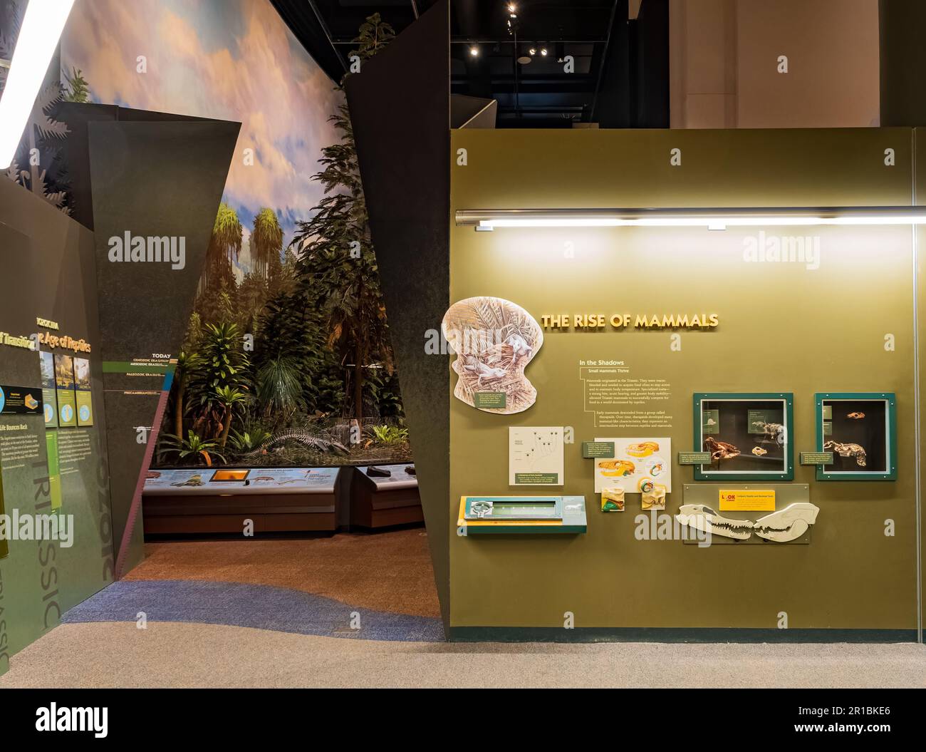 Oklahoma, APR 18 2023 - Interior view of the Sam Noble Oklahoma Museum ...