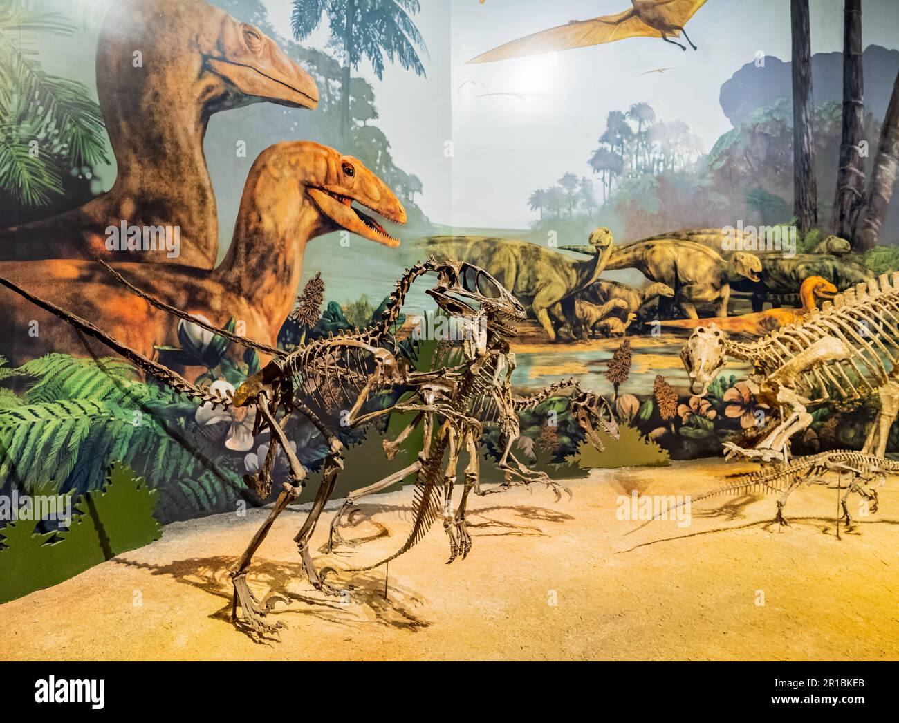 Oklahoma, APR 18 2023 - Interior view of the Sam Noble Oklahoma Museum ...