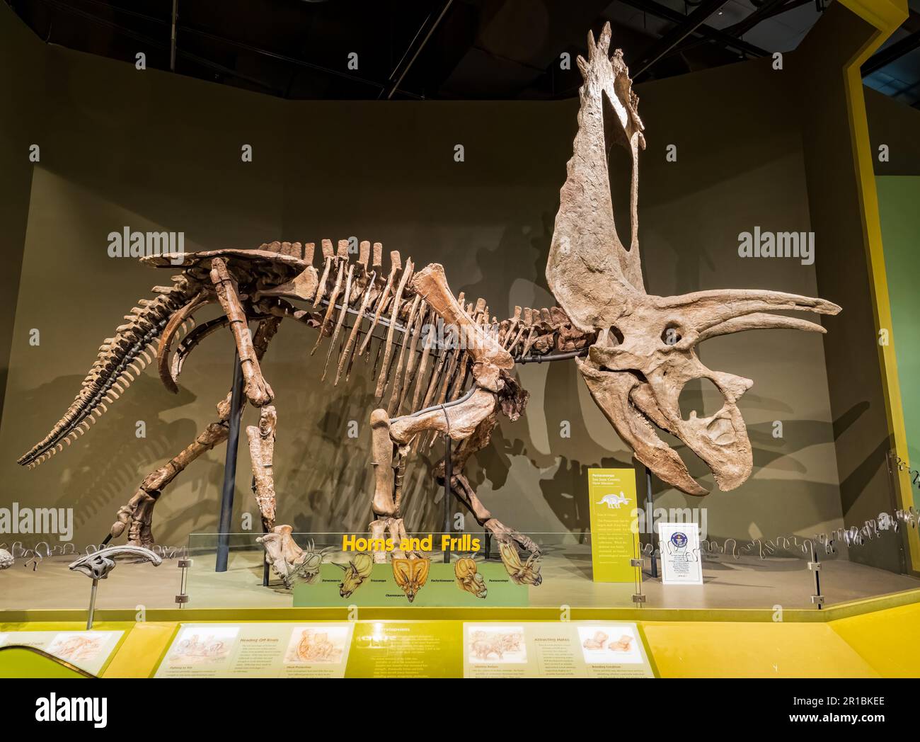 Oklahoma, APR 18 2023 - Interior view of the Sam Noble Oklahoma Museum ...