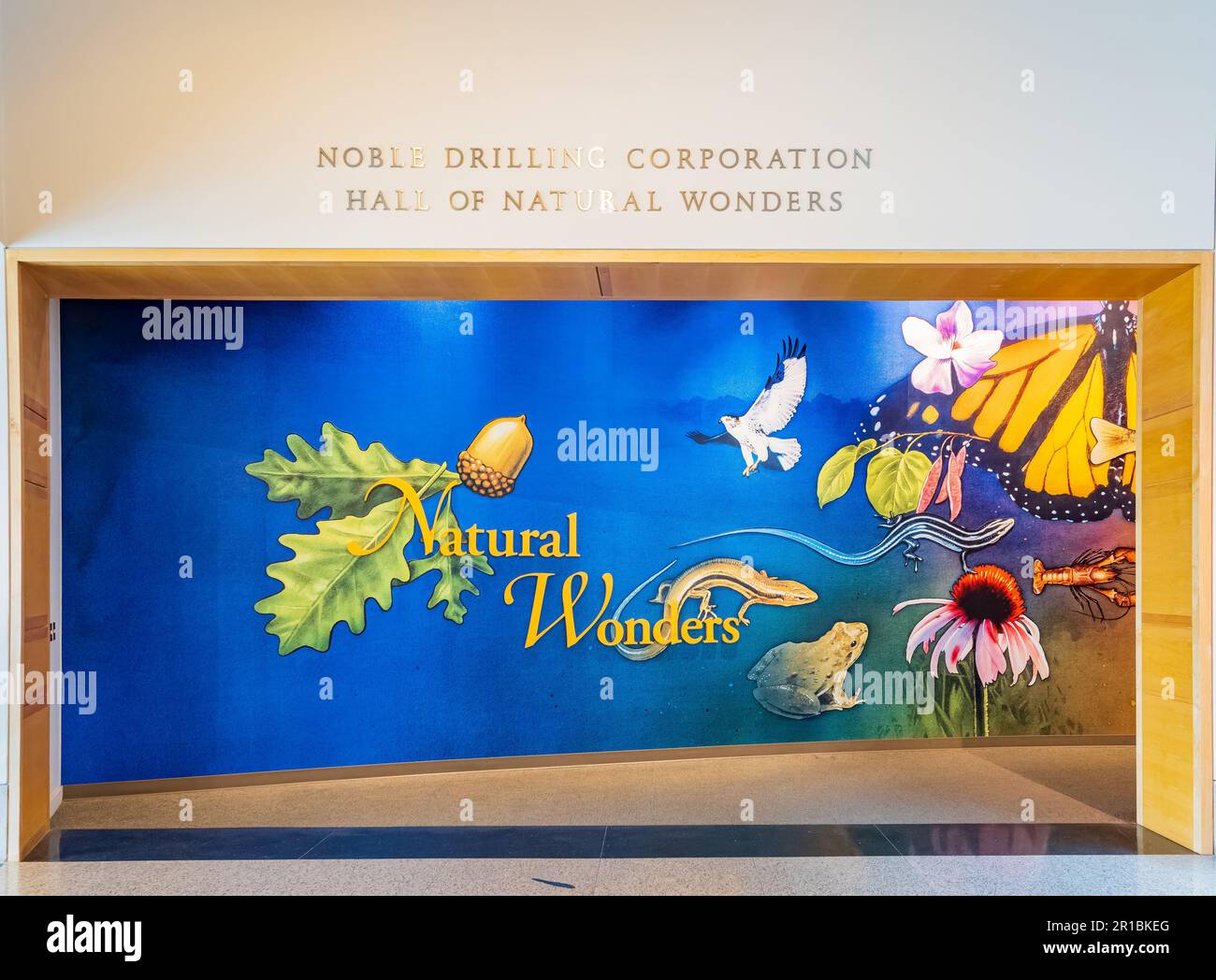 Oklahoma, APR 18 2023 - Interior view of the Sam Noble Oklahoma Museum ...