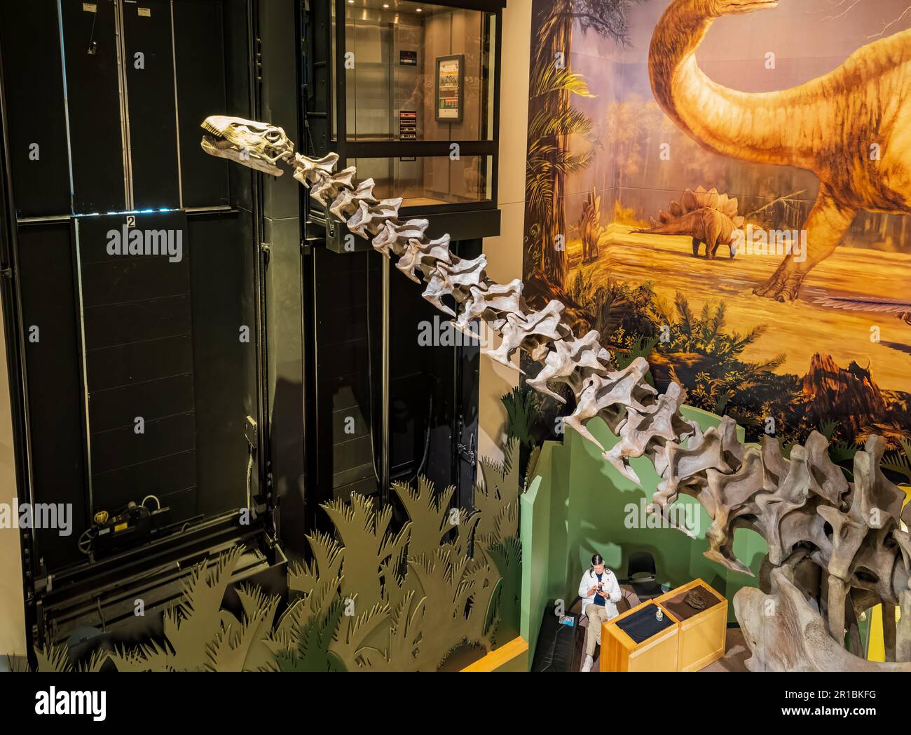 Oklahoma, APR 18 2023 - Interior view of the Sam Noble Oklahoma Museum ...