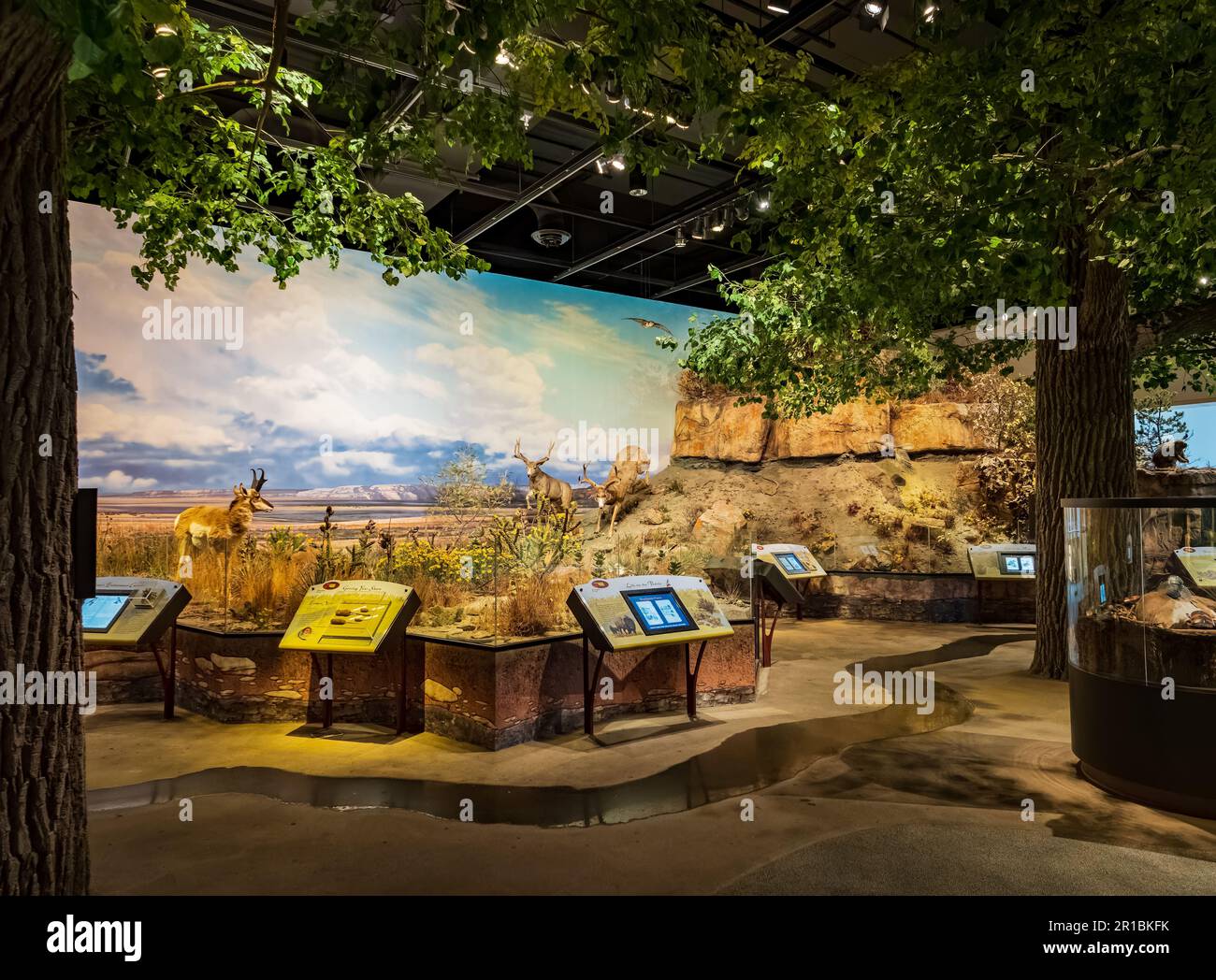 Oklahoma, APR 18 2023 - Interior view of the Sam Noble Oklahoma Museum ...