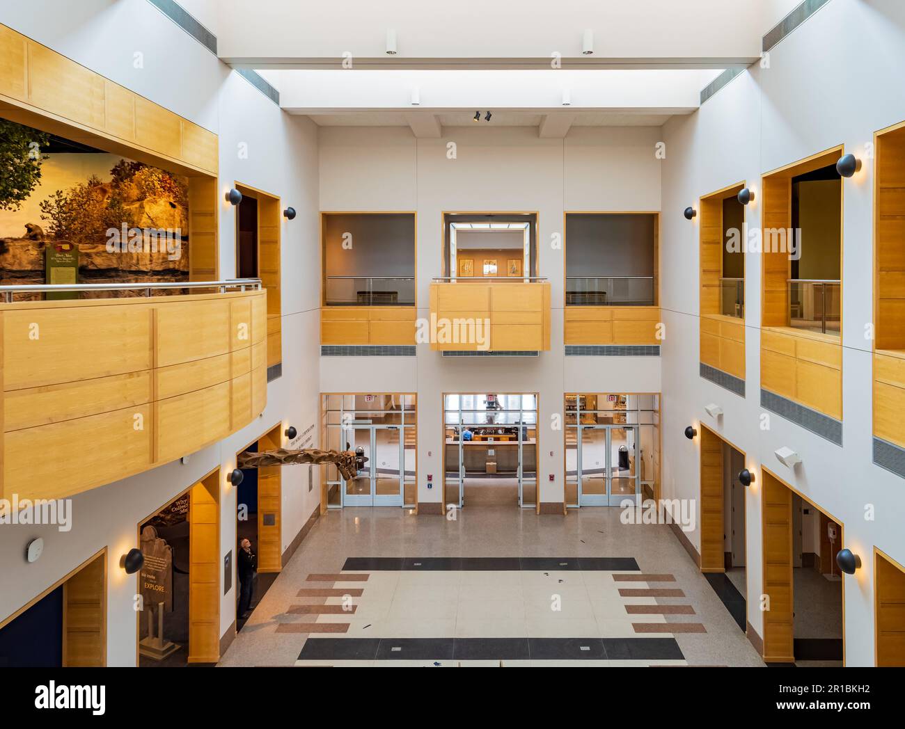 Sam noble oklahoma museum of natural history hi-res stock photography ...