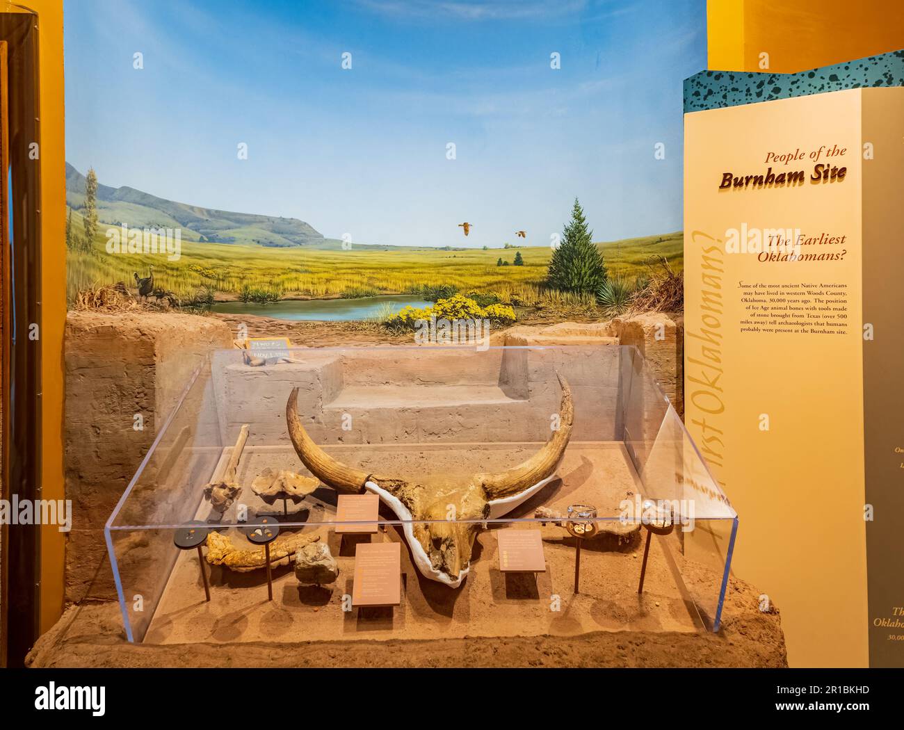 Oklahoma, APR 18 2023 - Interior view of the Sam Noble Oklahoma Museum ...