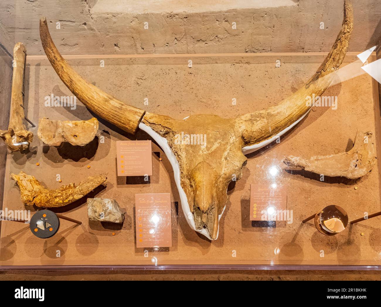 Oklahoma, APR 18 2023 - Interior view of the Sam Noble Oklahoma Museum ...