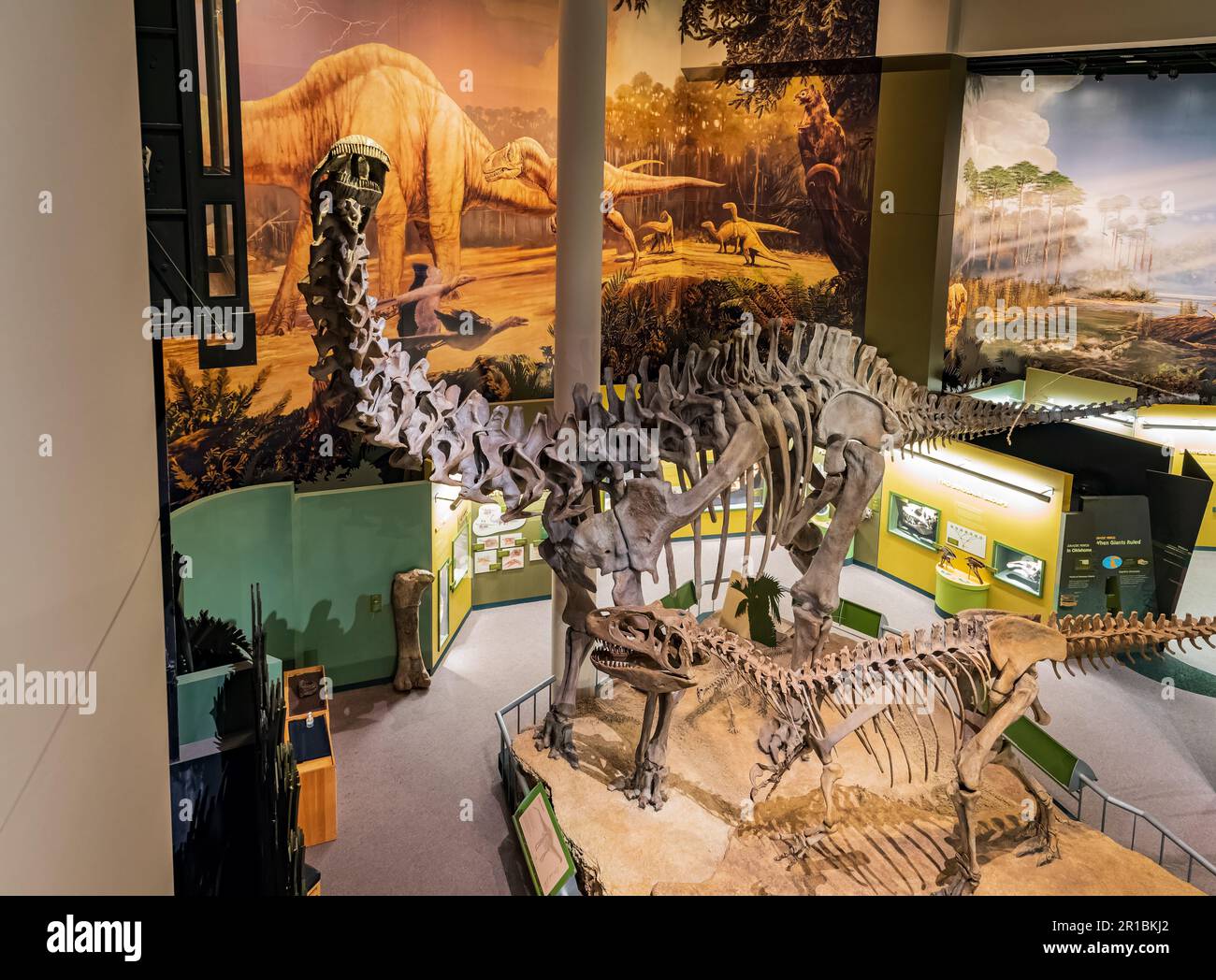 Oklahoma, APR 18 2023 - Interior view of the Sam Noble Oklahoma Museum ...
