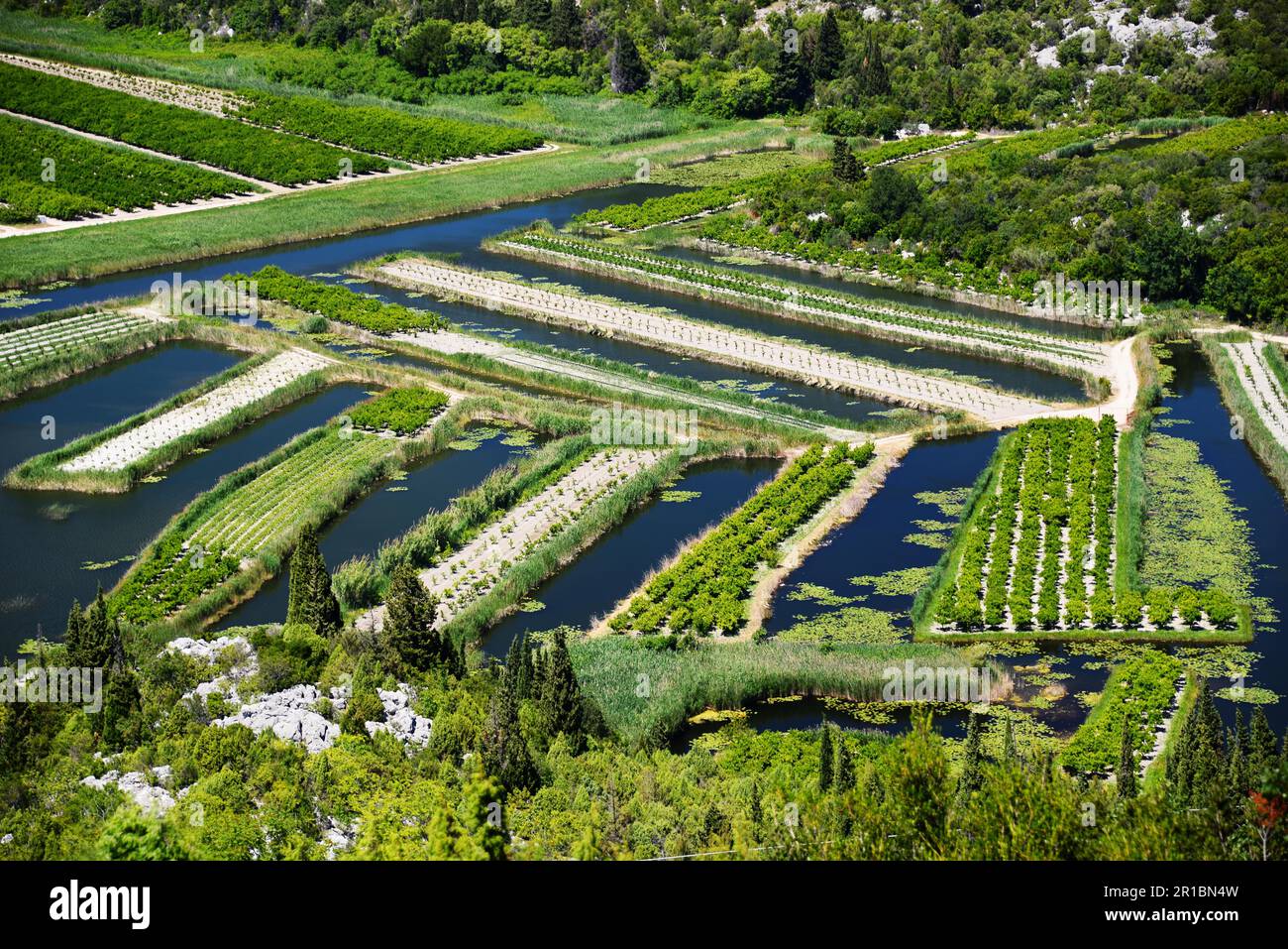 Farming in Dalmatia, Croatia, at the Adriatic coast Stock Photo - Alamy