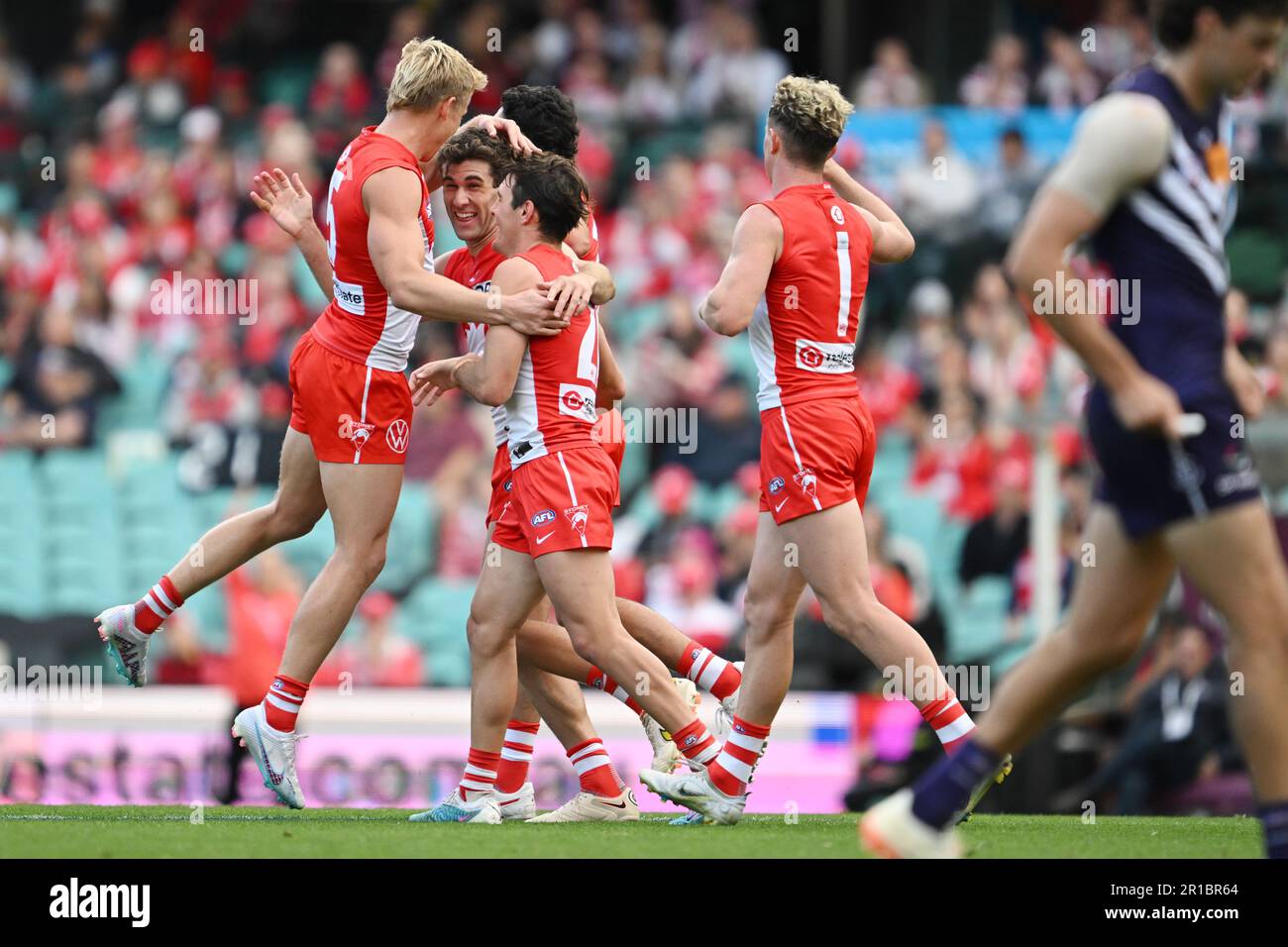 Robbie Fox of the Swans celebrates after scooring a goal during the AFL ...
