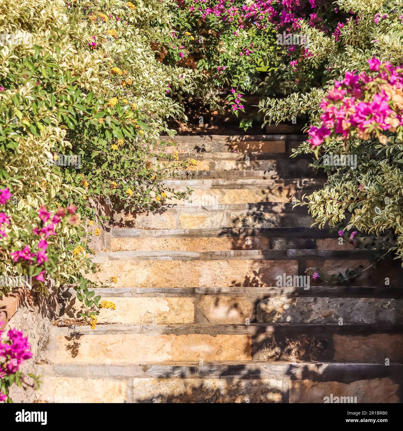 Natural stone stairs landscaping in the garden. High quality photo ...