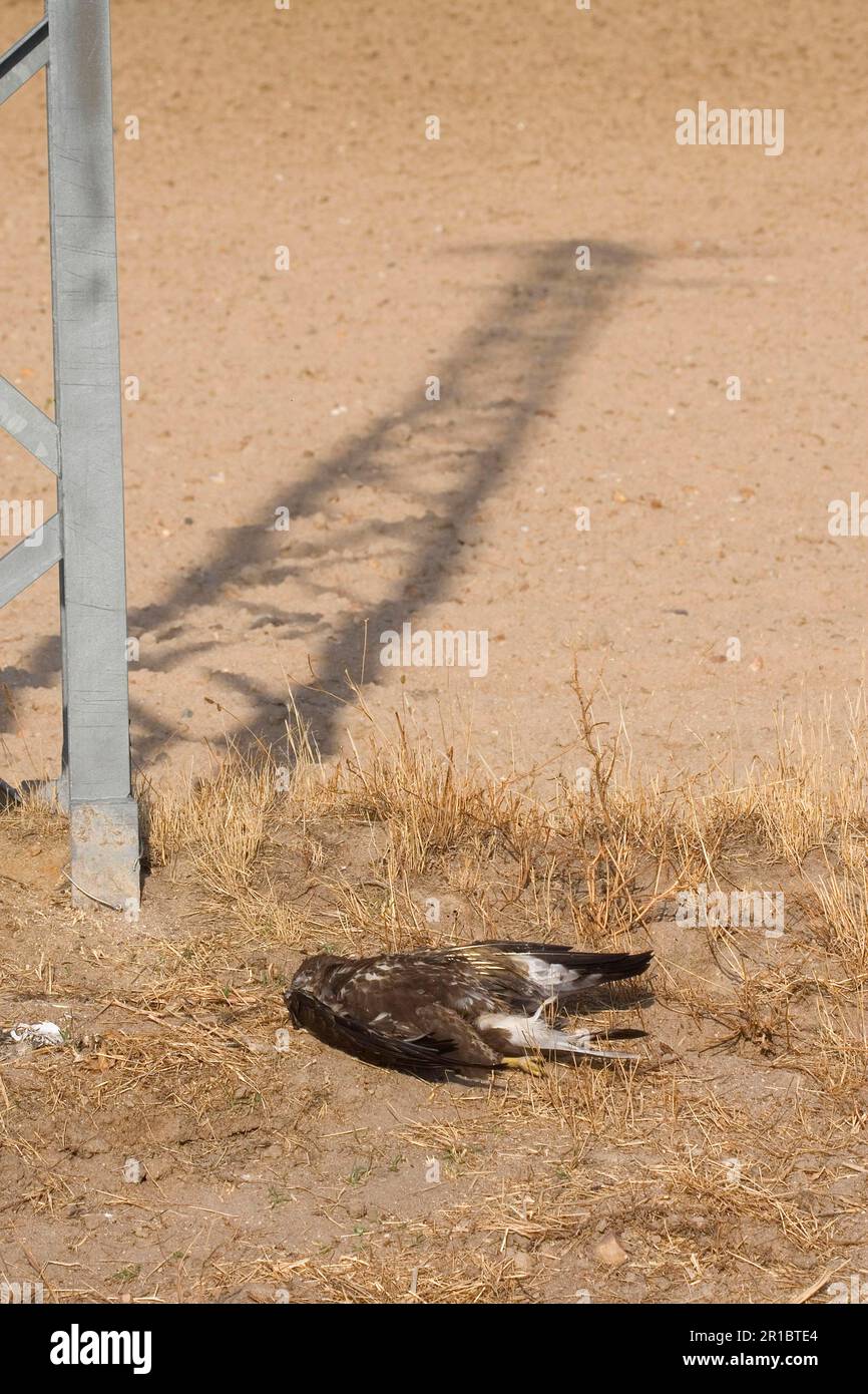 Collision with power lines hi-res stock photography and images - Alamy