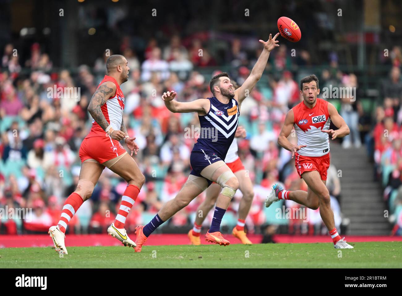 Luke Ryan of the Dockers during the AFL Round 9 match between the ...