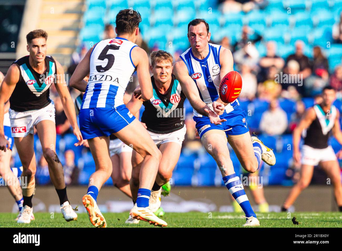 Todd Goldstein of North Melbourne during the AFL Round 9 match between ...