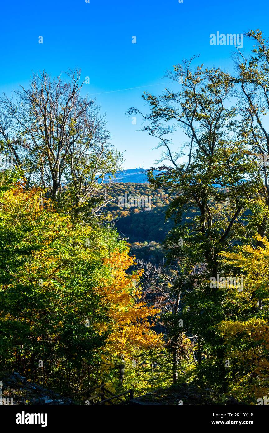 Amazing scenic trees mountains hi-res stock photography and images - Alamy